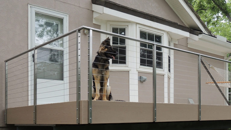 Decks for Dogs! Perfect Railing Systems for Dog Lovers! - AGSstainless.com